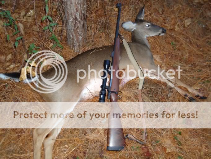 Stock Factory Rifle and Game - Pics - 24hourcampfire