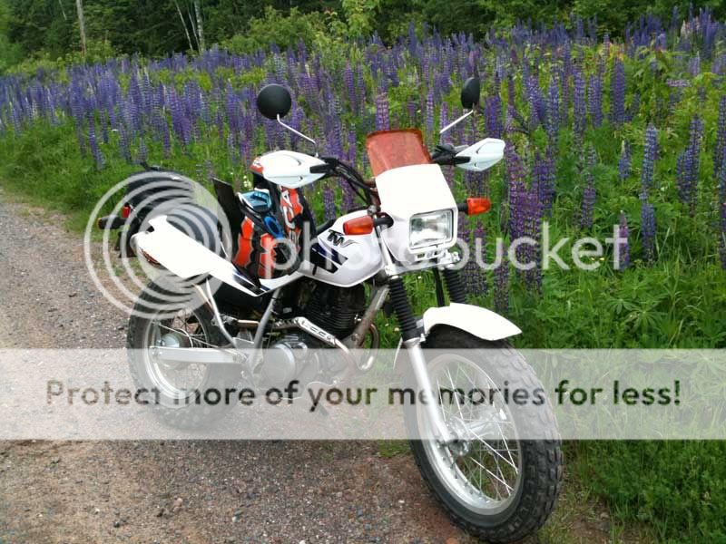 First ride with Jimbo Shield | TW200 Forum