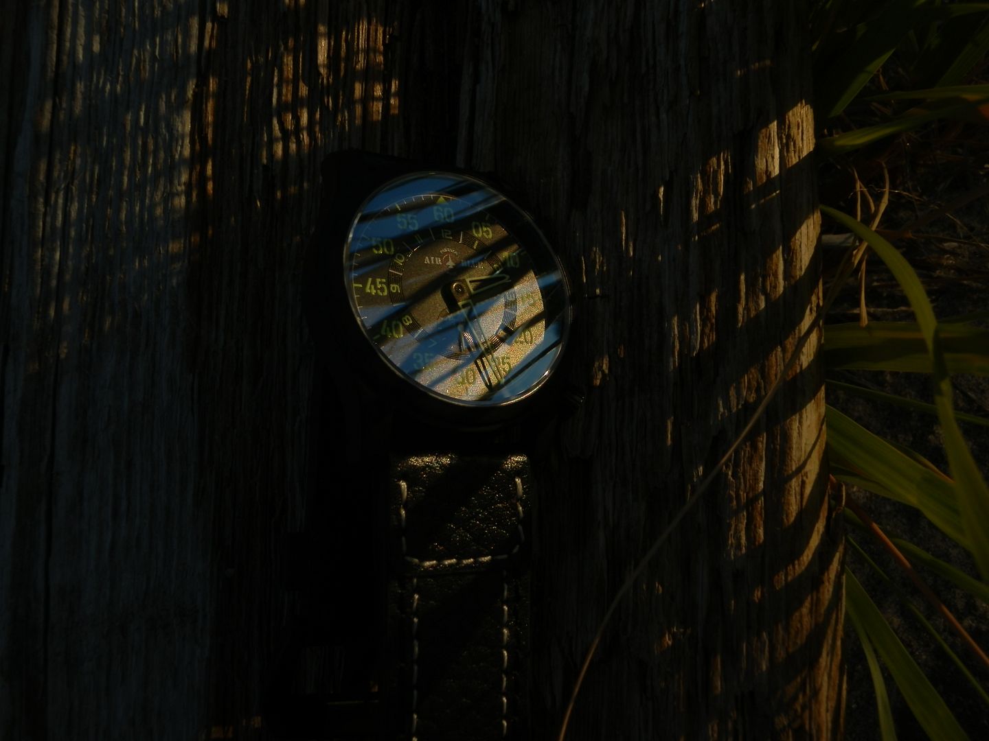 Favorite photo of a watch | WatchUSeek Watch Forums